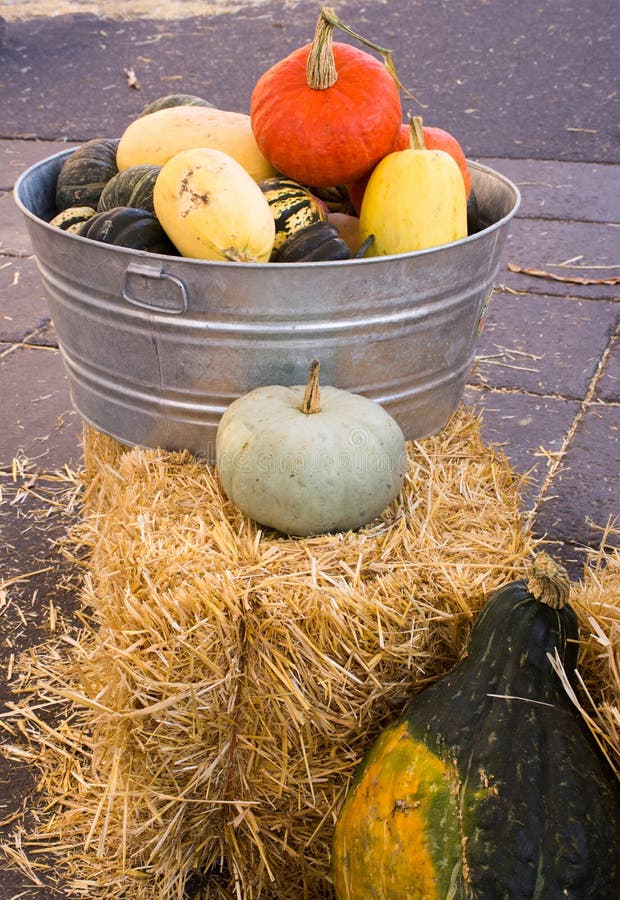 Huge Gourd with Container of Smaller Squash Stock Photo - Image of ...