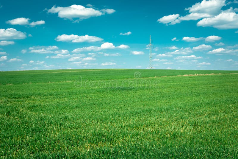 A Huge Green Field, Horizon and White Clouds on a Blue Sky Stock Photo ...