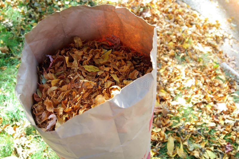Huge Heap Of Autumn Leaves. Stock Photo - Image of leafblower, autumnal ...