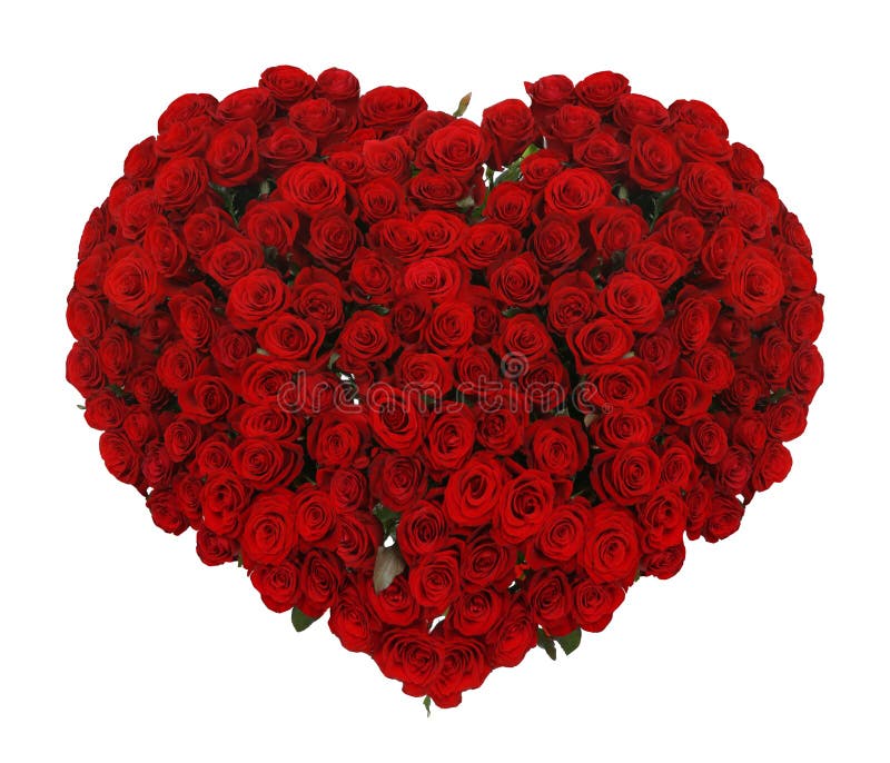 Valentine Heart Made Out of Roses Stock Image - Image of closeup ...