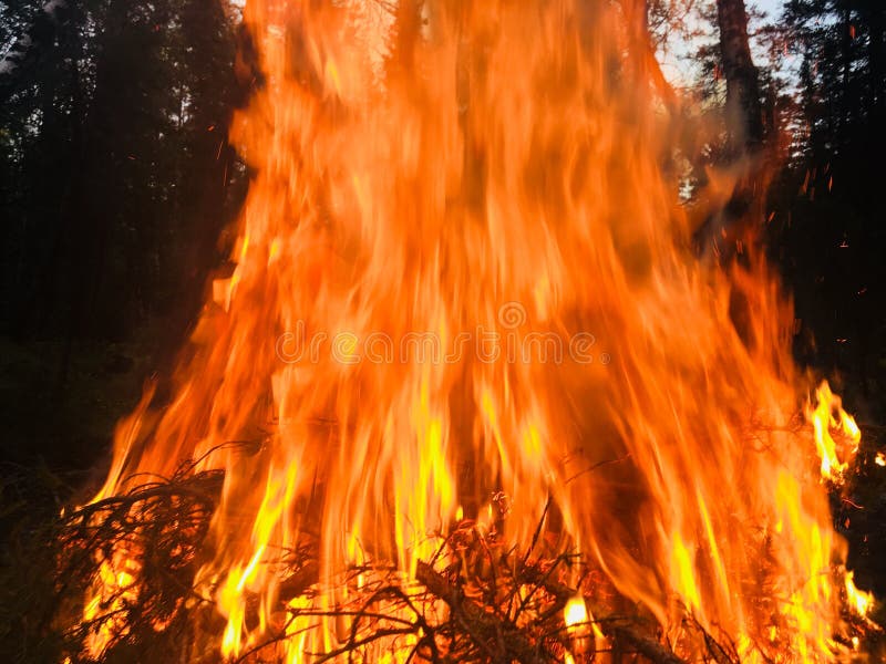 A Huge and Incredibly Beautiful Fire Stock Image - Image of fire, flame ...