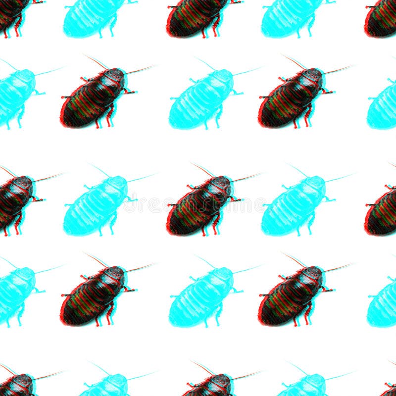 Huge Madagascar Hissing Cockroach Stock Illustration - Illustration of ...