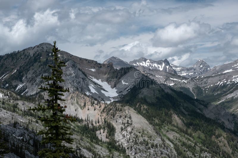 Huge Mountains in the Rockies from the Mount Fernie Stock Photo - Image ...