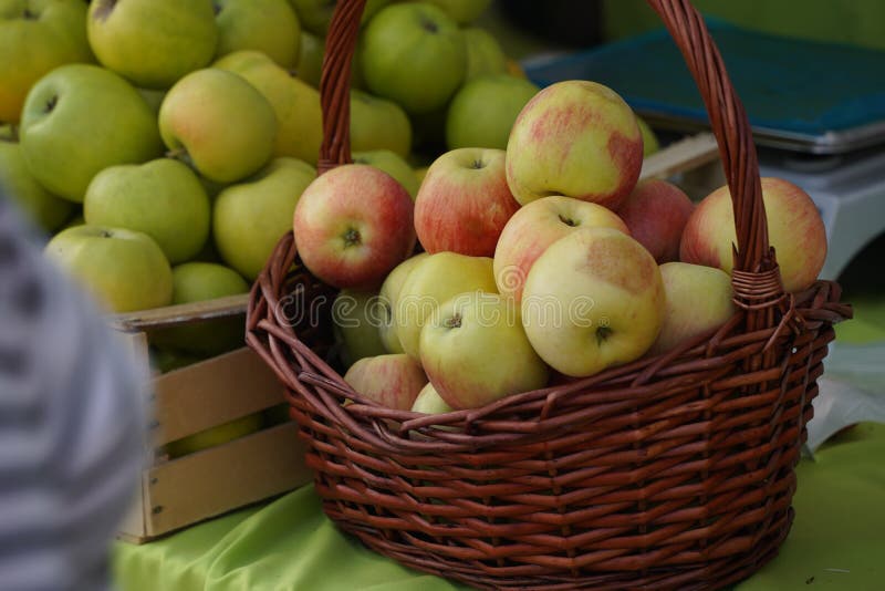 A Huge Number of Fresh Apples of Different Varieties on a Big Sale ...