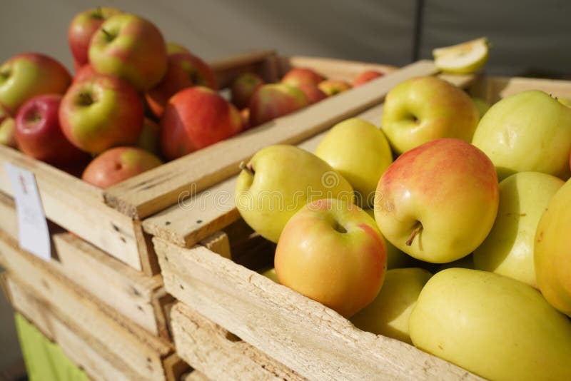 A Huge Number of Fresh Apples of Different Varieties on a Big Sale ...