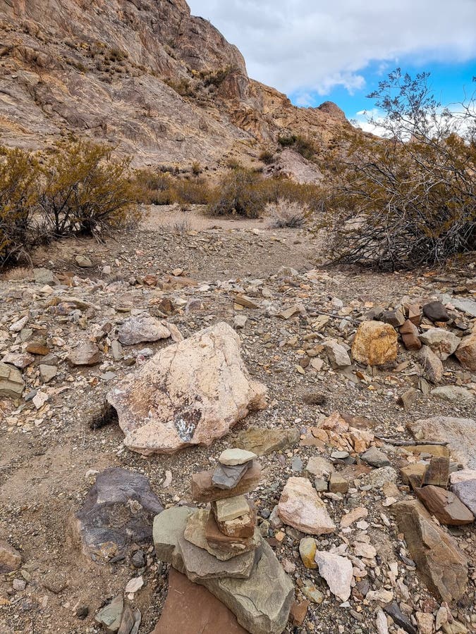 Shrubs in the mountains stock image. Image of rock, tree - 331740483