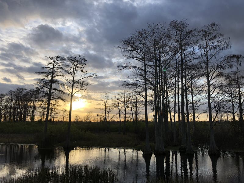 Sunburst in the marsh stock photo. Image of light, lagoon - 108975264