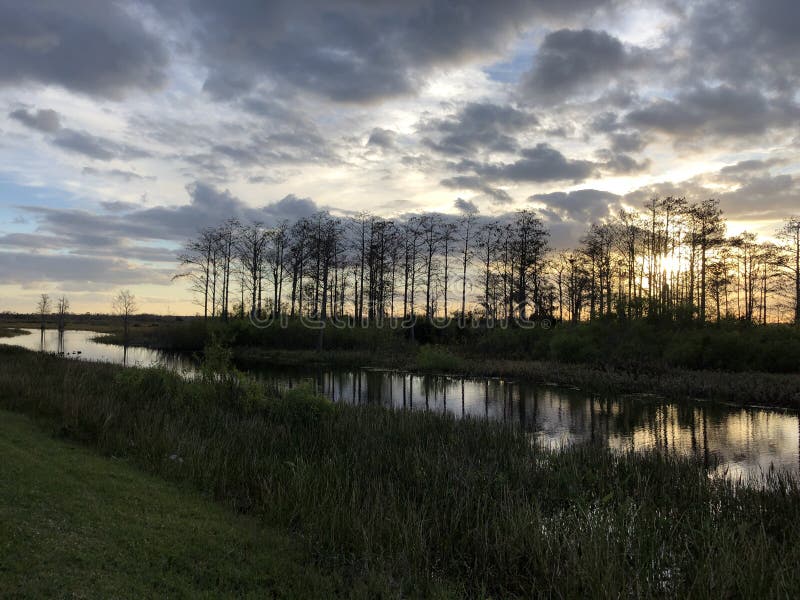 Sunburst in the marsh stock photo. Image of evening - 108975398