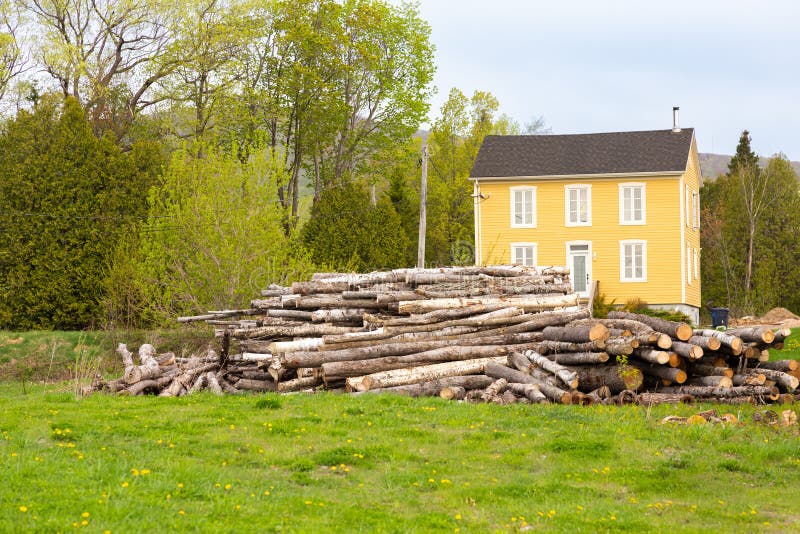 Huge Pile of Tree Trunks in Front of Yellow Clapboard House in Rural ...