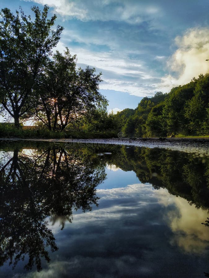 Huge Puddle Reflection with Trees and Cloudy Sky Stock Image - Image of ...