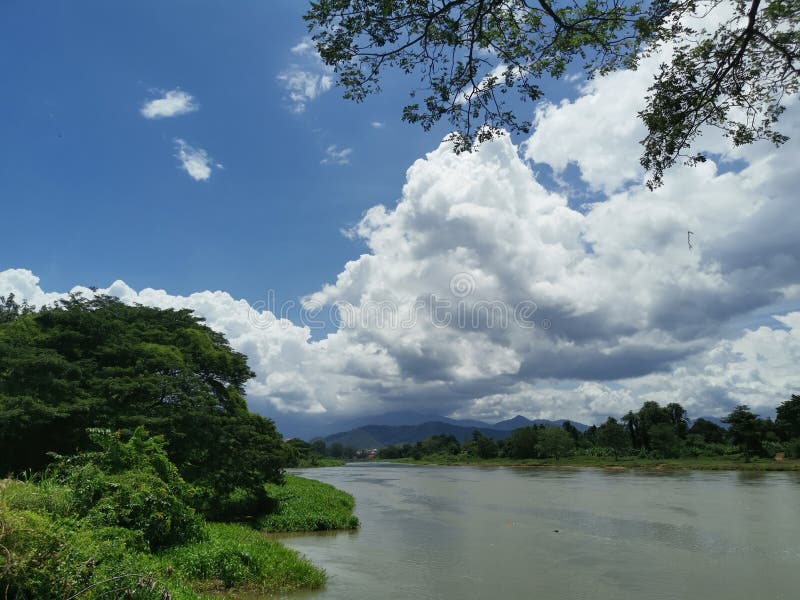 Huge Rainforest Tree Growing by the Riverside. Stock Photo - Image of ...