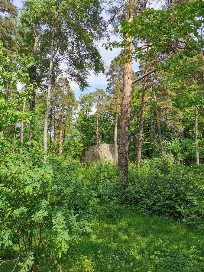 A Huge Rectangular Boulder among the Trees in the Rocky Natural Park of ...