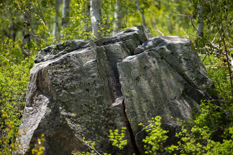 Huge rock in a forest stock image. Image of wallpaper - 256354715