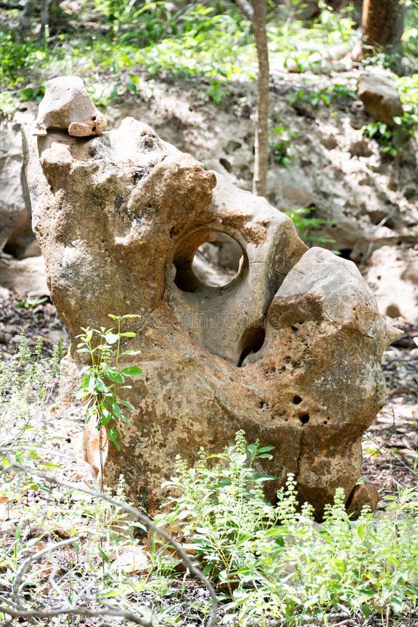 "Nature S Sculpture: Raindrops Carve a Tranquil Hollow in Stone Stock ...