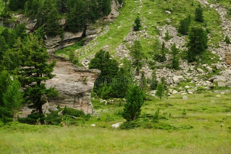 Huge Rock between Trees in a Mountain Valley Stock Photo - Image of ...
