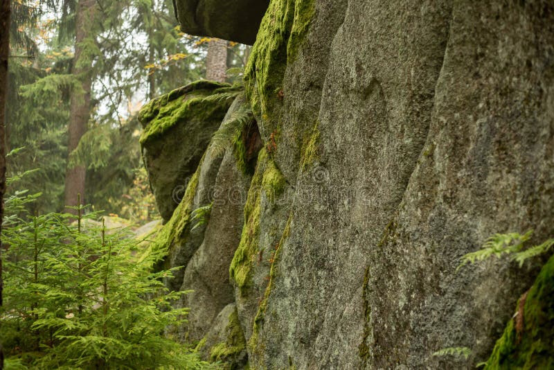 Huge rocks in the forest stock image. Image of national - 119438919