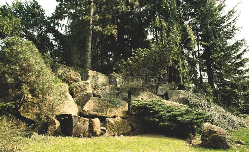 Path In Green Forest Trees With Huge Rocks Stock Photo - Image of leaf ...