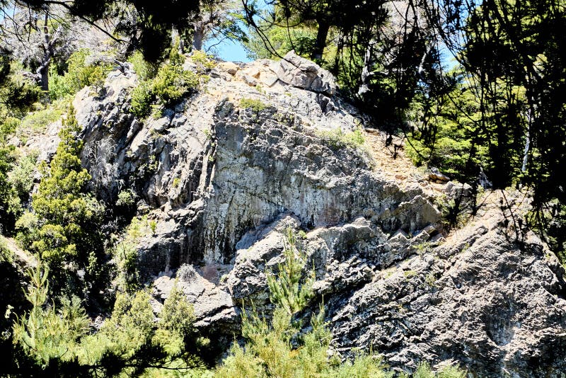 Huge Rocks among Green Plants Under Sunlight Stock Image - Image of ...