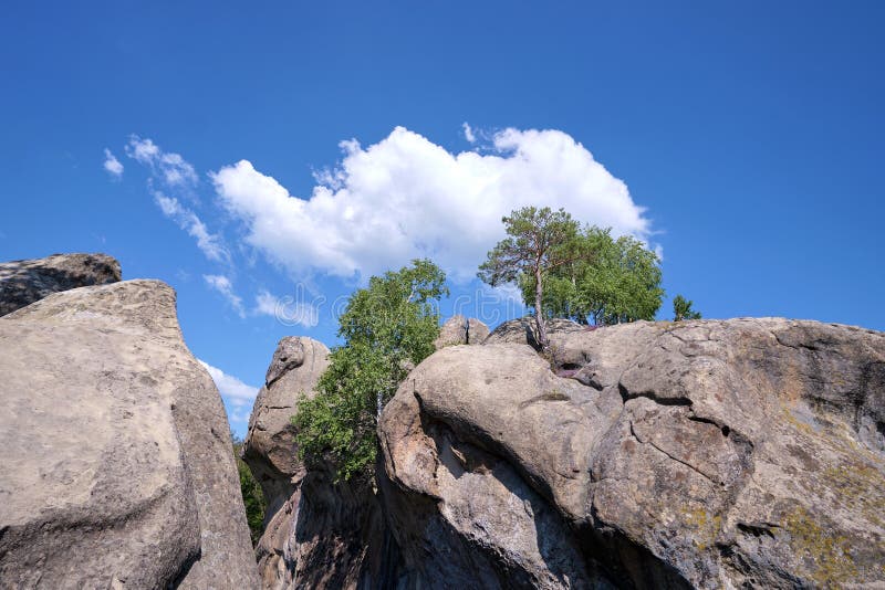Huge Rocky Boulder Formations High in Mountains with Growing Trees on ...
