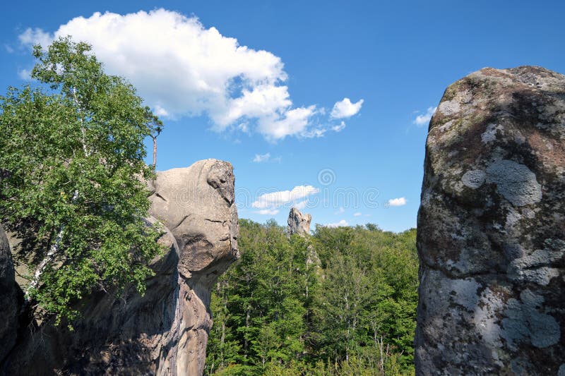 Huge Rocky Boulder Formations High in Mountains with Growing Trees on ...