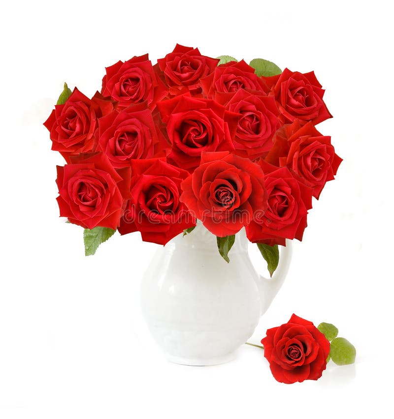 Huge Roses Bouquet in Vase on White Stock Photo - Image of bunch ...