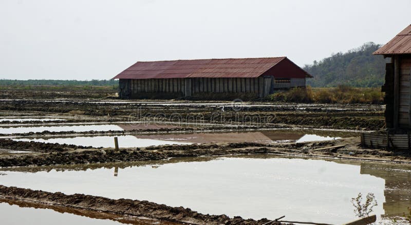 Huge Salt Fields Near Kampot Stock Image - Image of water, asia: 316776239