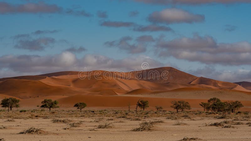 Huge Sand Dunes in the Namib Desert Stock Image - Image of scenic, bald ...