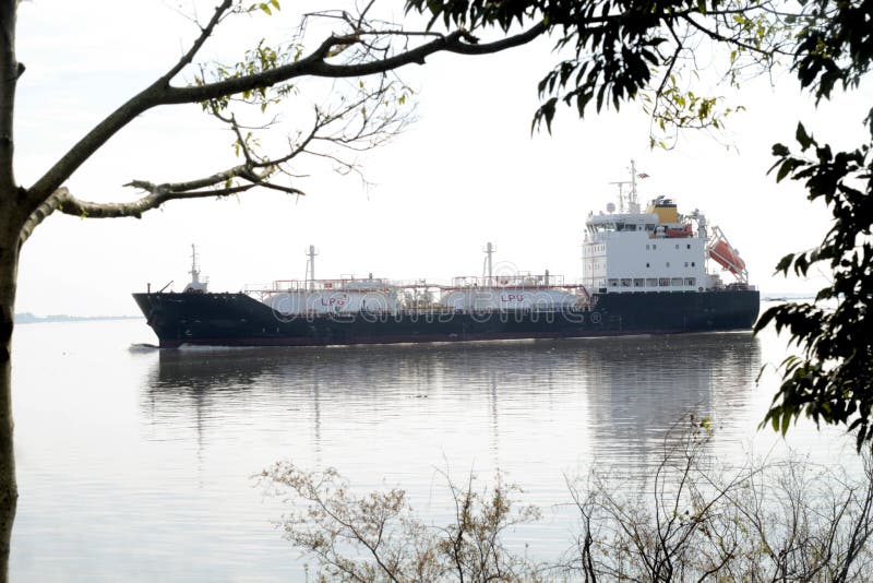 SHIP between the TREES editorial photography. Image of winter - 191538422