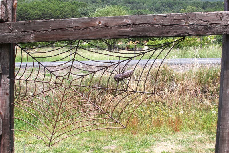 Huge spider in a spiderweb stock image. Image of animals - 42498885