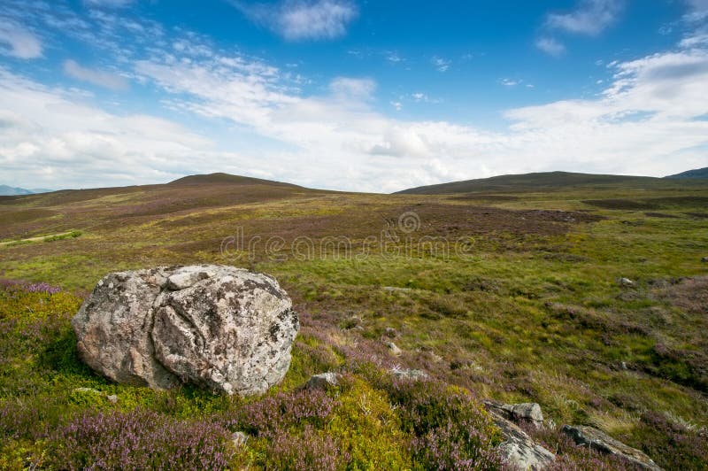 Huge stone stock photo. Image of mooralnd, field, green - 30893864