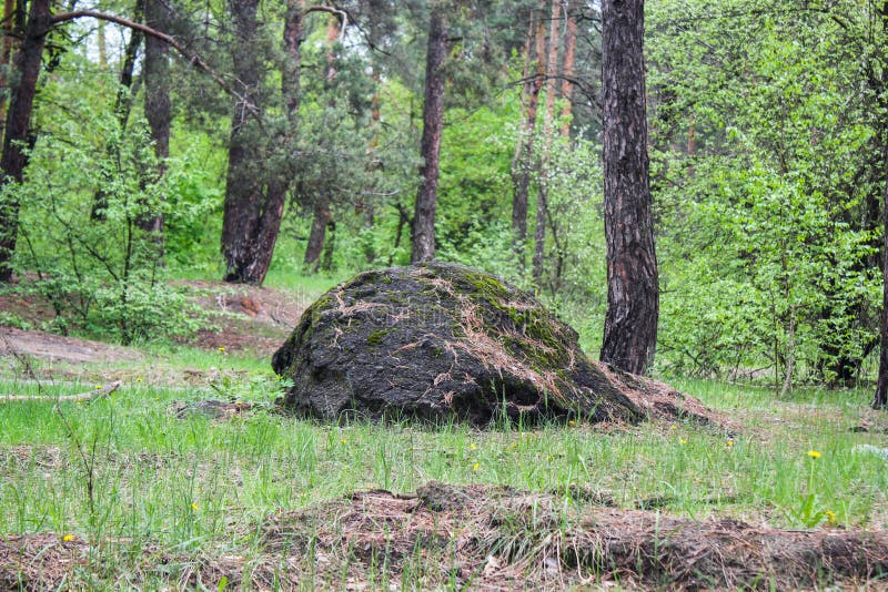 Huge Stone in the Middle of the Forest. Stone in the Middle of the ...