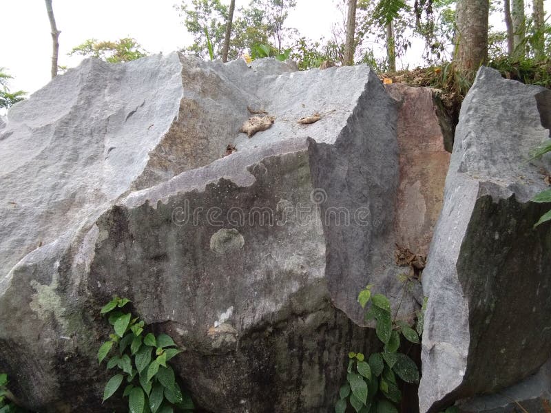 Rock Split in Half at Forest Stock Image - Image of nature, lichen ...