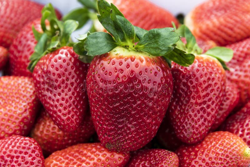 Huge Strawberry in the Foreground Stock Image - Image of vitamin ...