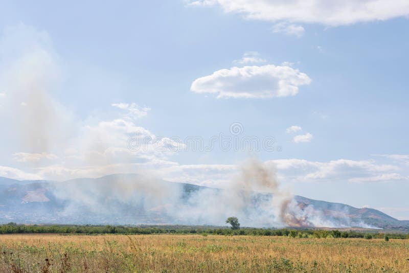 Dangerous Field Mass Fire stock photo. Image of field - 99565694