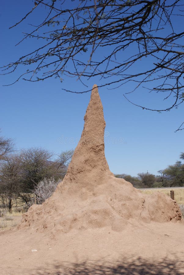 Huge Termites Hill Anthill in Africa, Namibia. a Young White Girl ...