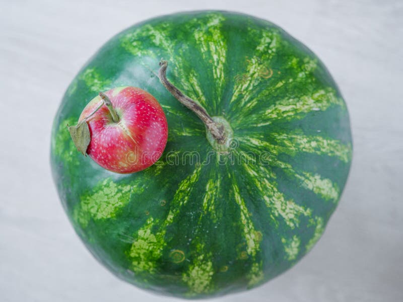 Huge Watermelon and Tiny Apple. Opposites Attract Concept Stock Photo ...