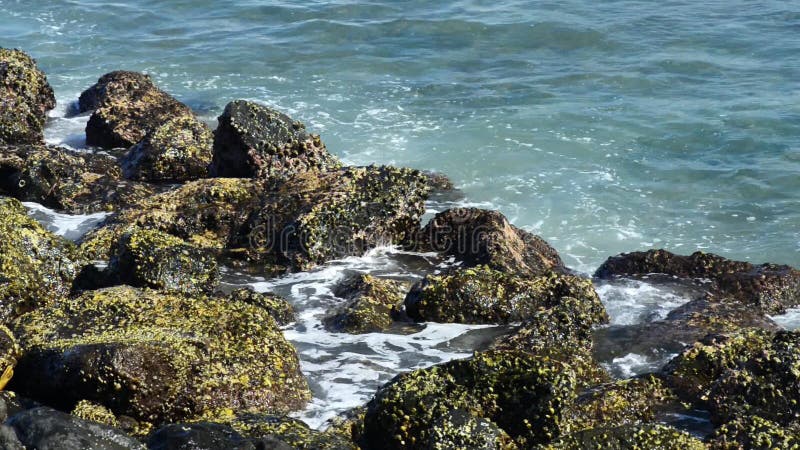 A Huge Wave Hits the Rocks. Waves Hitting Rocks on a Tropical Beach ...