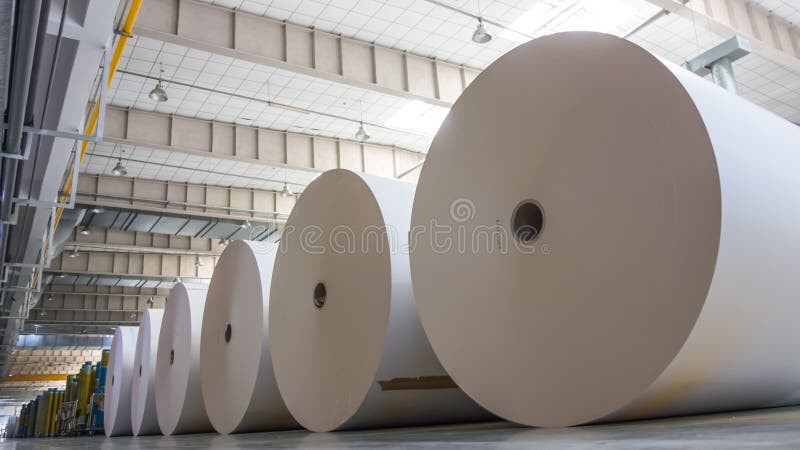 Huge White Paper Rolls in the Factory Stock Photo - Image of factory ...