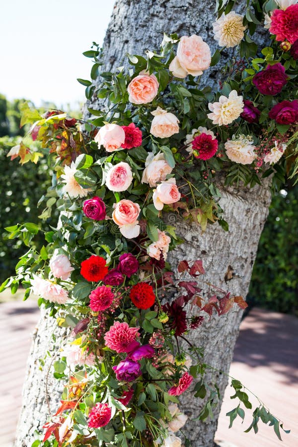 Huge Wreath of a Lot of Pink Roses Decorating the Thick Trunk of a Tree ...