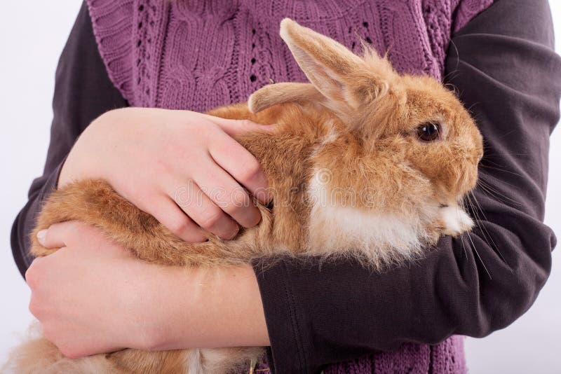 Hugging an easter rabbit stock photo. Image of person - 65148638