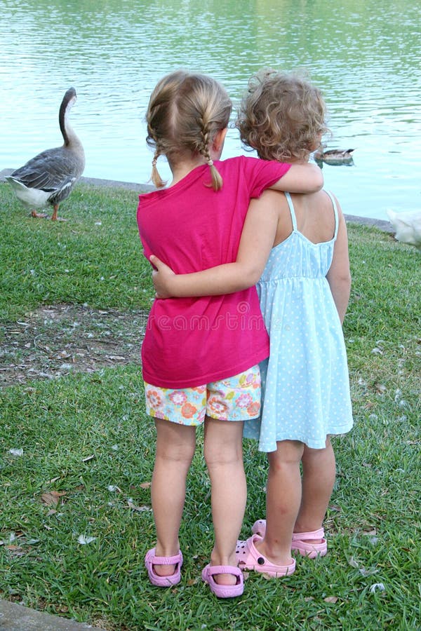 Geese Hug Stock Photos - Free & Royalty-Free Stock Photos from Dreamstime