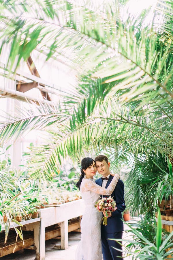Hugging Just Married Above the Palm Tree in Greehouse. Stock Photo ...