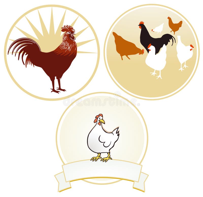Huhn- und Hahnzeichen vektor abbildung. Illustration von produkt - 27105699