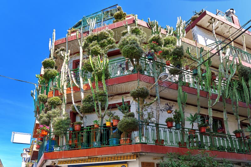 Huis met cactus stock afbeelding. Image of europa, gezicht - 47907151