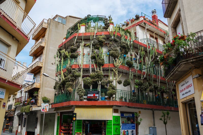 Huis Van Cactussen in De Straat in Calella, Spanje Stock Afbeelding ...