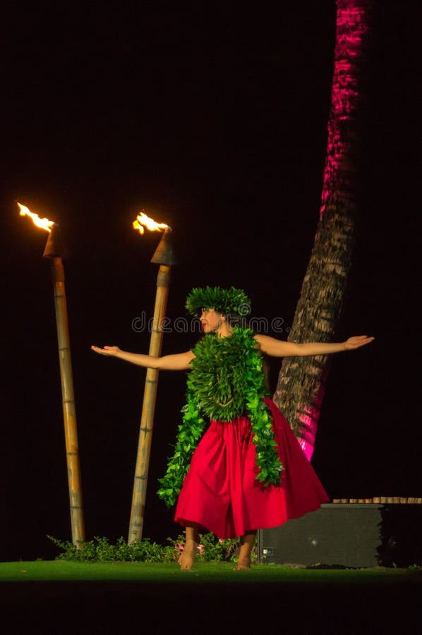 Hula dancer editorial photo. Image of dancing, exotic - 240084396