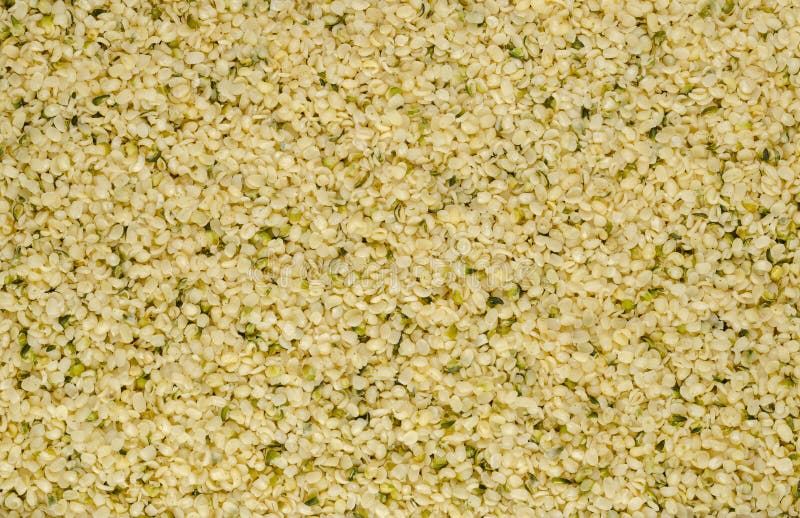 Hulled Hemp Seeds, Hempseed Surface Background and Surface, Macro Food ...