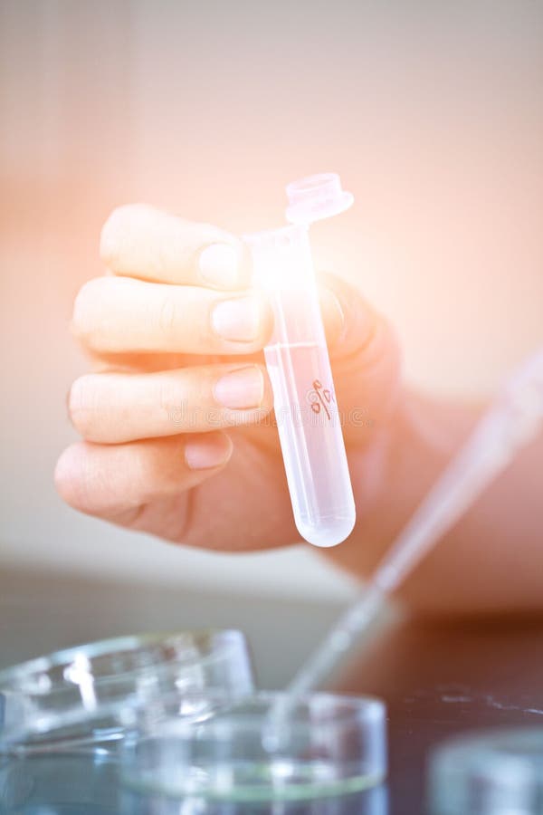 Huma Hand Holding Test Tube Stock Image - Image of technology, chemical ...