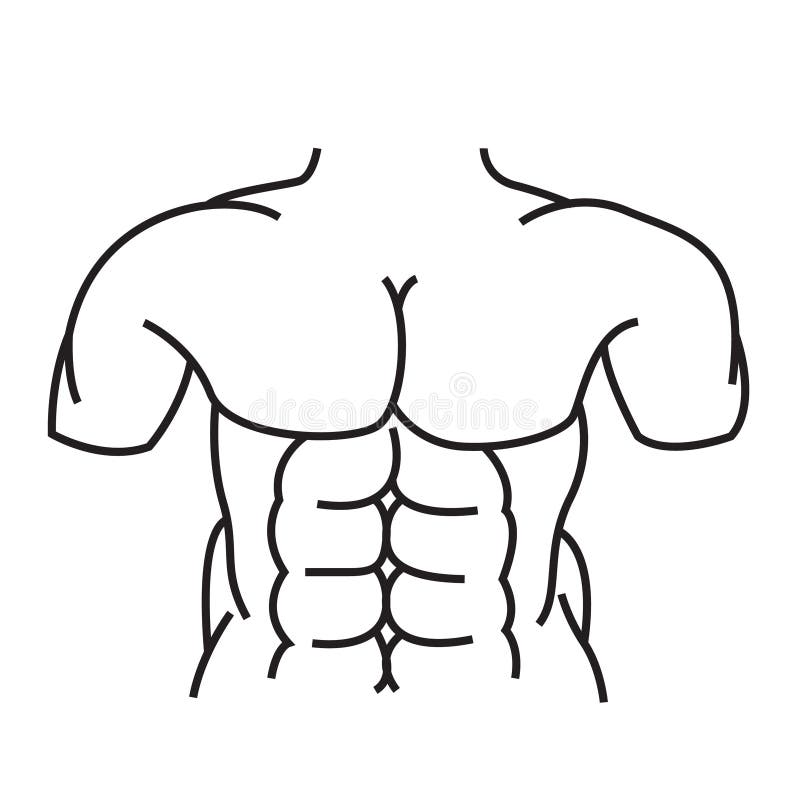 Human Abdomen stock vector. Illustration of anus, stomach - 21352869