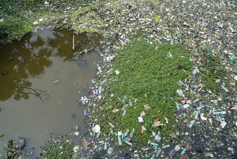 Human Activity is One of the Main Causes of Environmental Pollution ...